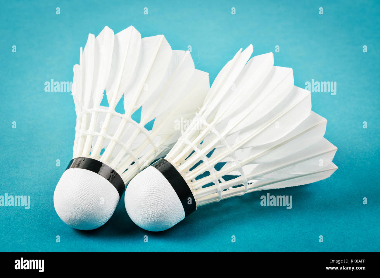 Indoor badminton court hi-res stock photography and images - Alamy