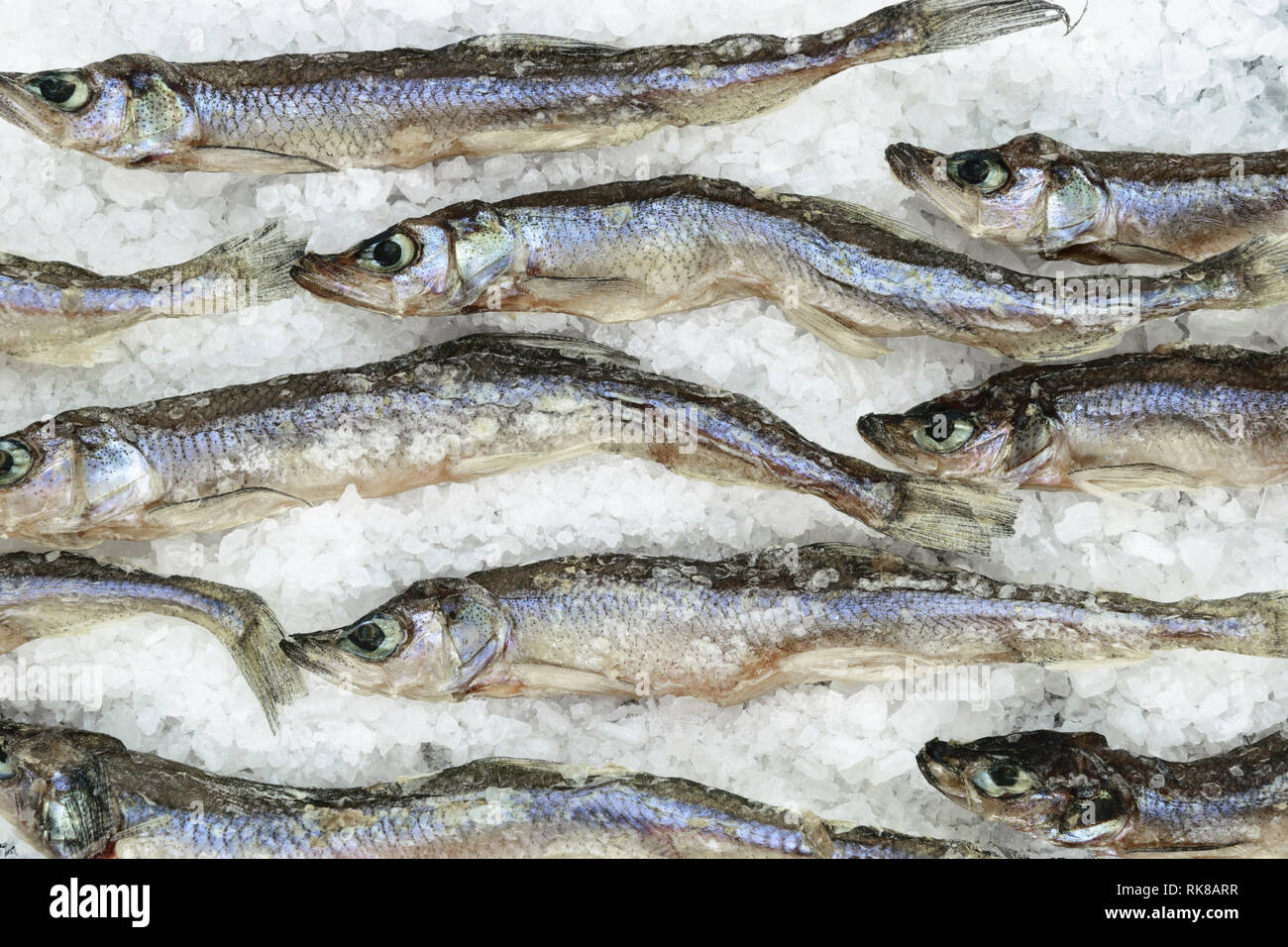 Dried salted smelt fish hi-res stock photography and images - Alamy