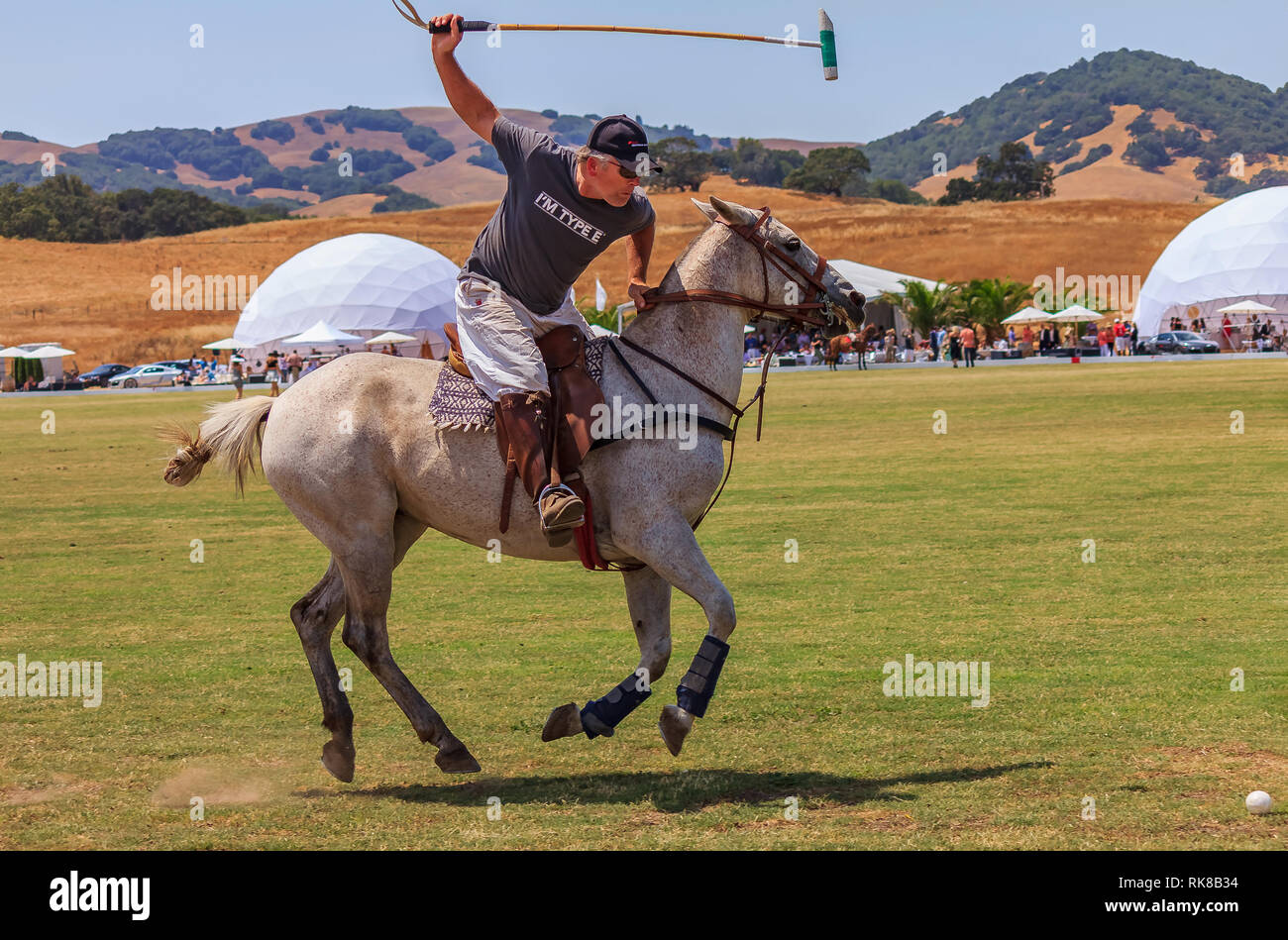 Polo players riding on horseback getting ready to hit the polo ball at ...