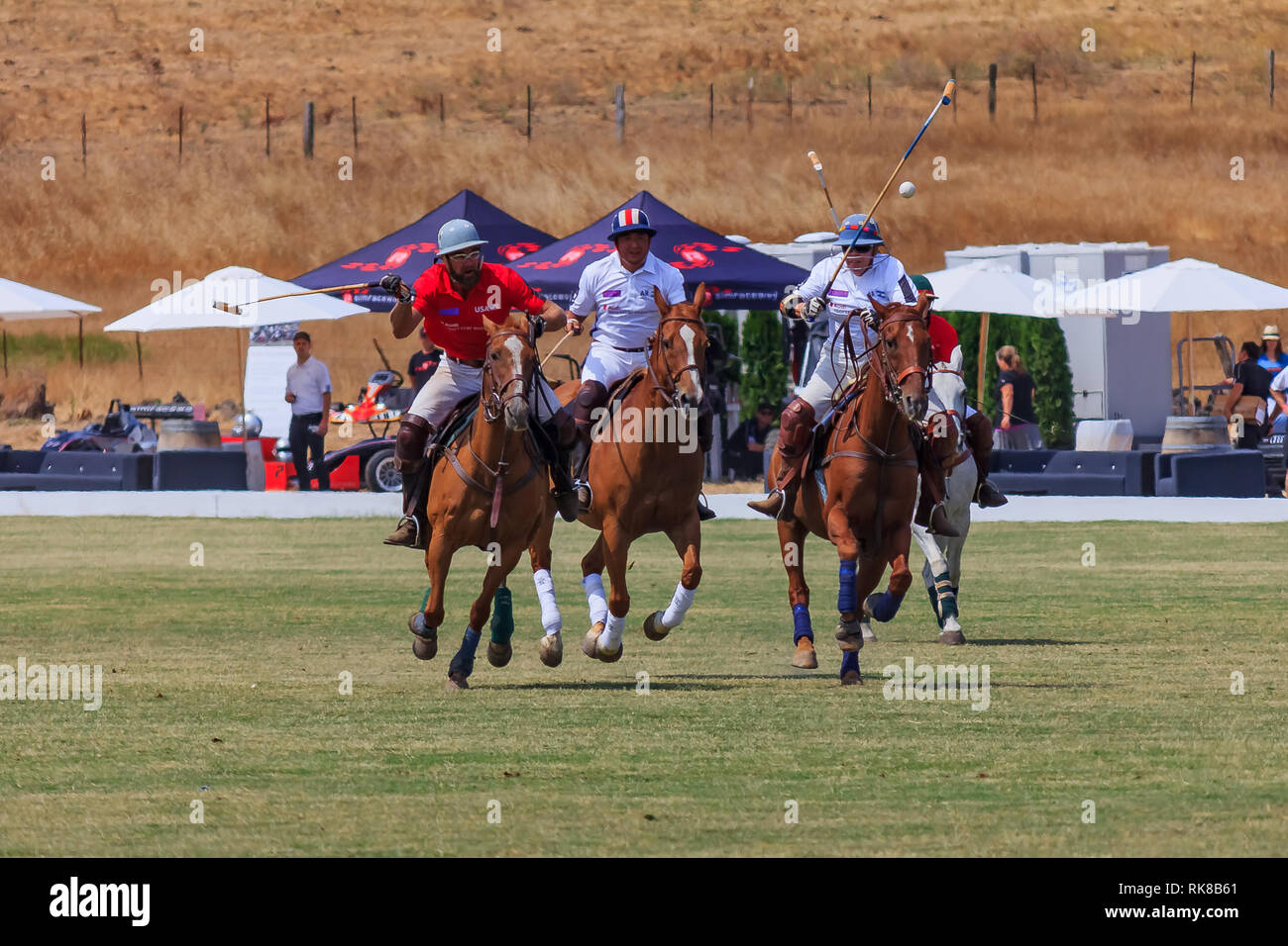 Polo players riding on horseback after the polo ball at high speed ...