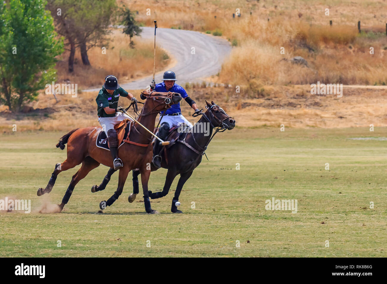 Polo Ball High Resolution Stock Photography and Images - Alamy
