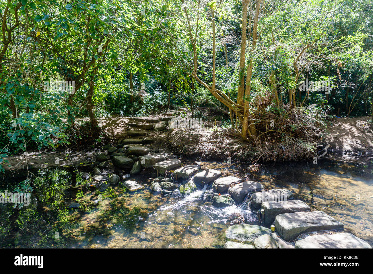 Tunks park sydney hi-res stock photography and images - Alamy