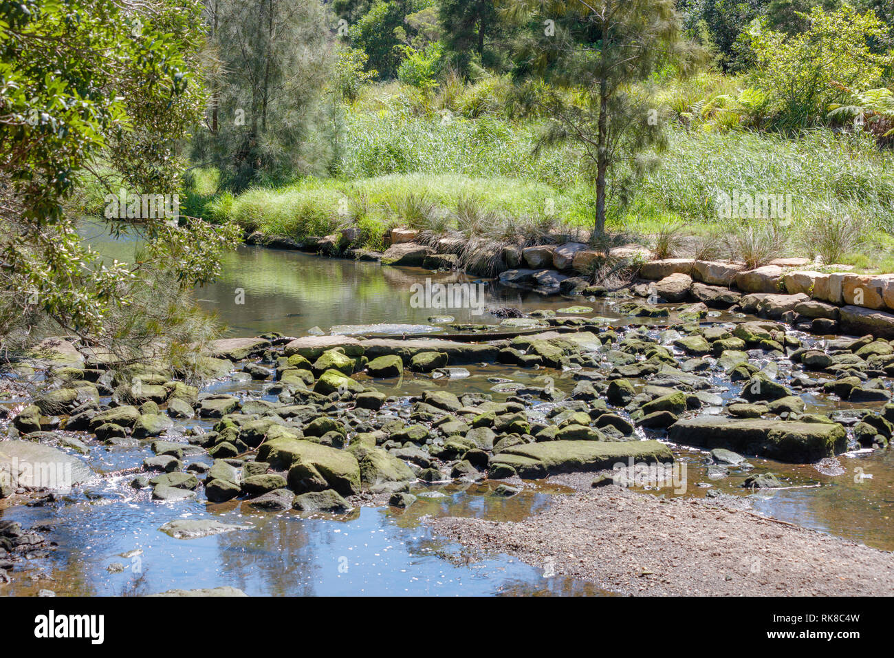 Tunks park sydney hi-res stock photography and images - Alamy