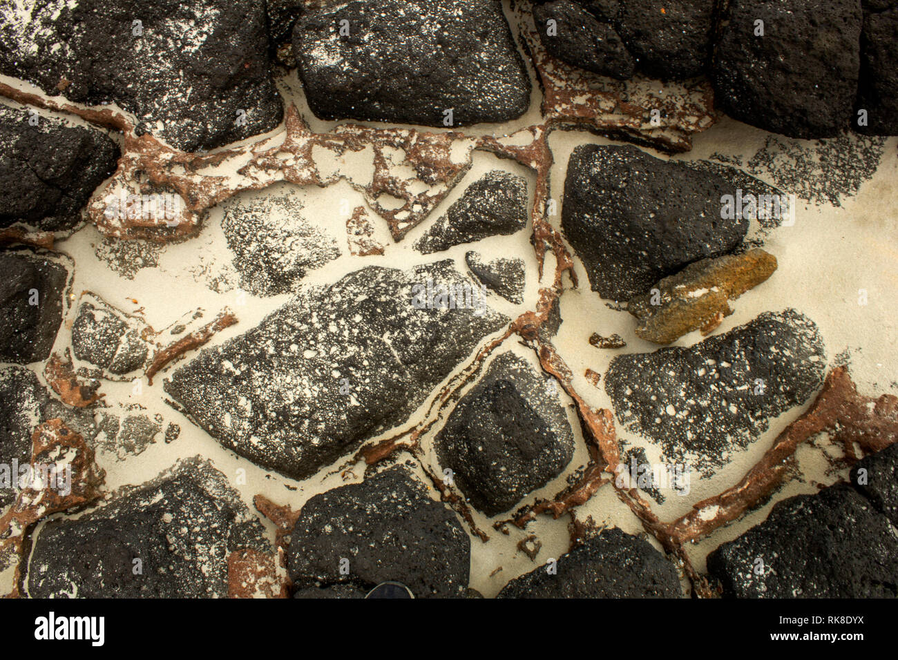 Showing after a volcanic eruption millions of years ago how 2 different ...