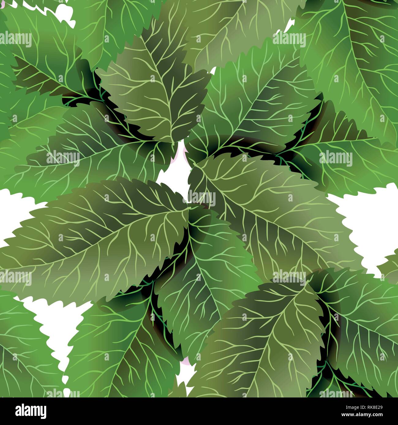 Green leaves texture. Vector illustration Stock Vector Image & Art - Alamy
