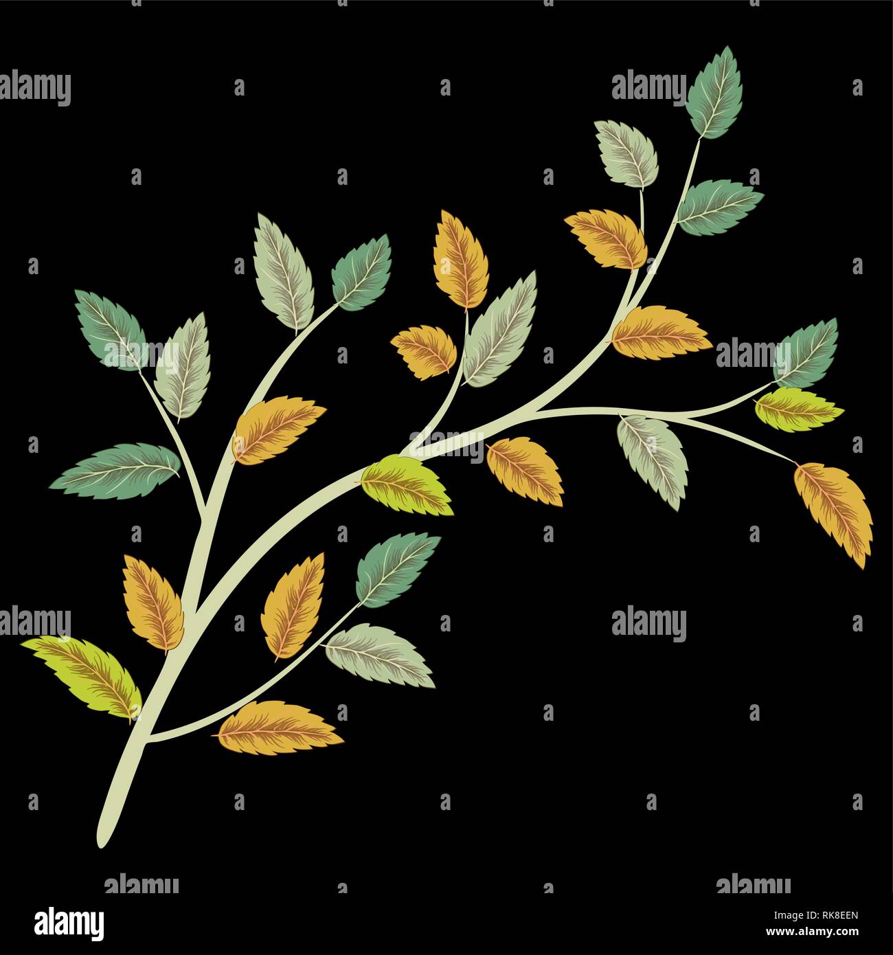 Leaf green tree vector illustration Stock Vector Image & Art - Alamy