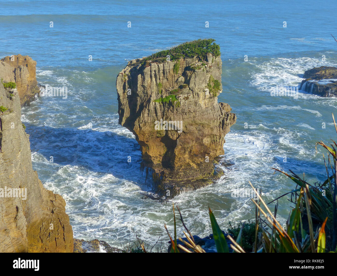 Erroded rocks in the ocean, North Island, New Zealand Stock Photo - Alamy