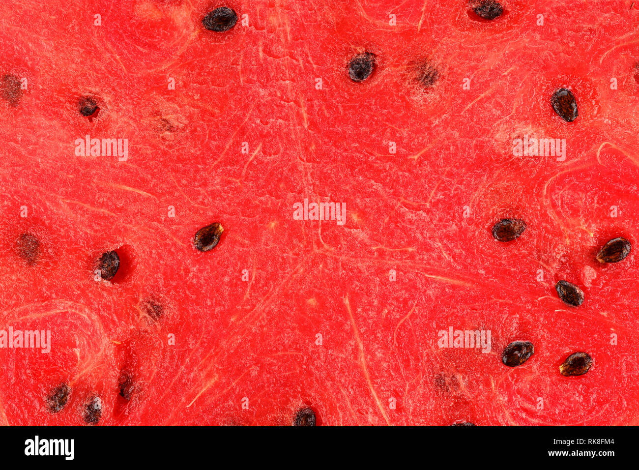 sliced watermelon background. clearly visible texture berries, moisture ...
