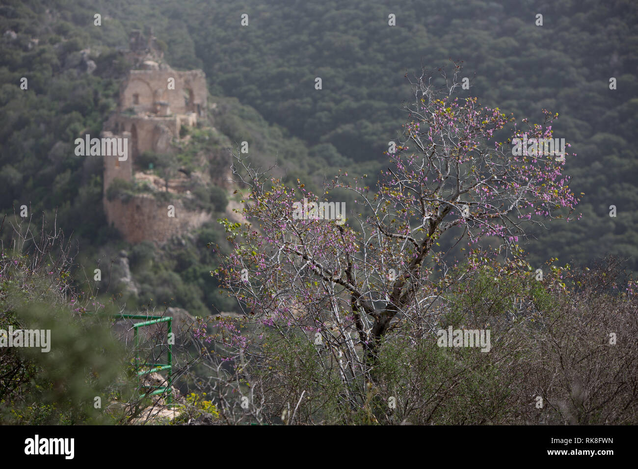 Hills with trees and a medieval castle in Galilee Israel Stock Photo ...