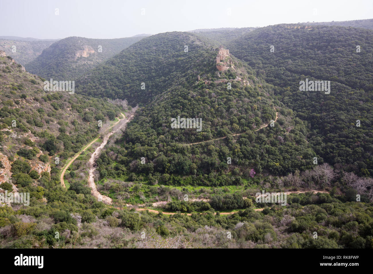 Hills with trees and a medieval castle in Galilee Israel Stock Photo ...