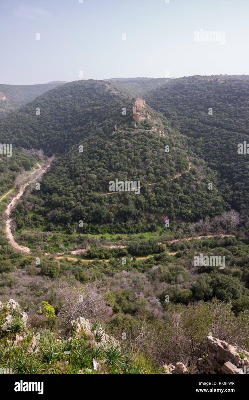 Hills with trees and a medieval castle in Galilee Israel Stock Photo ...