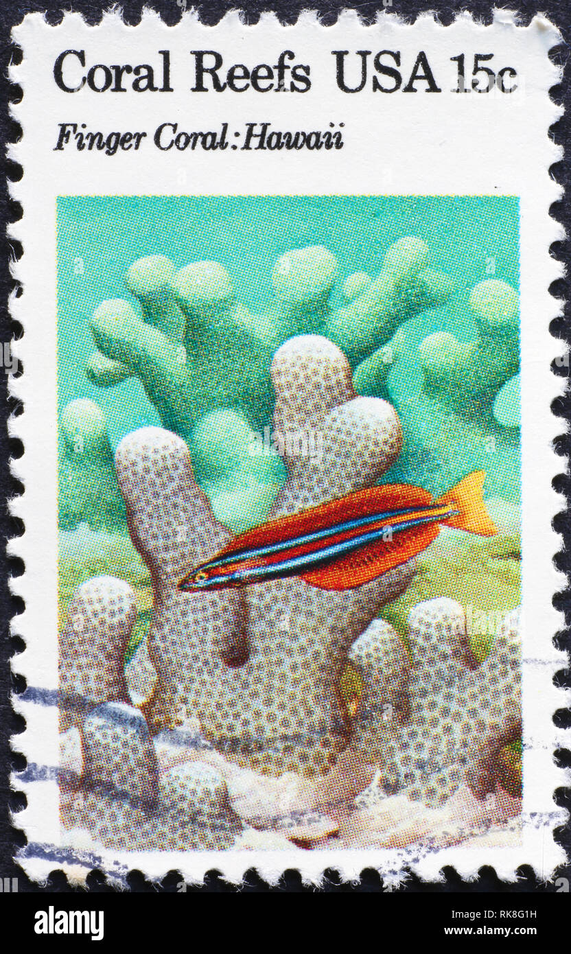 Hawaiian coral on american postage stamp Stock Photo - Alamy