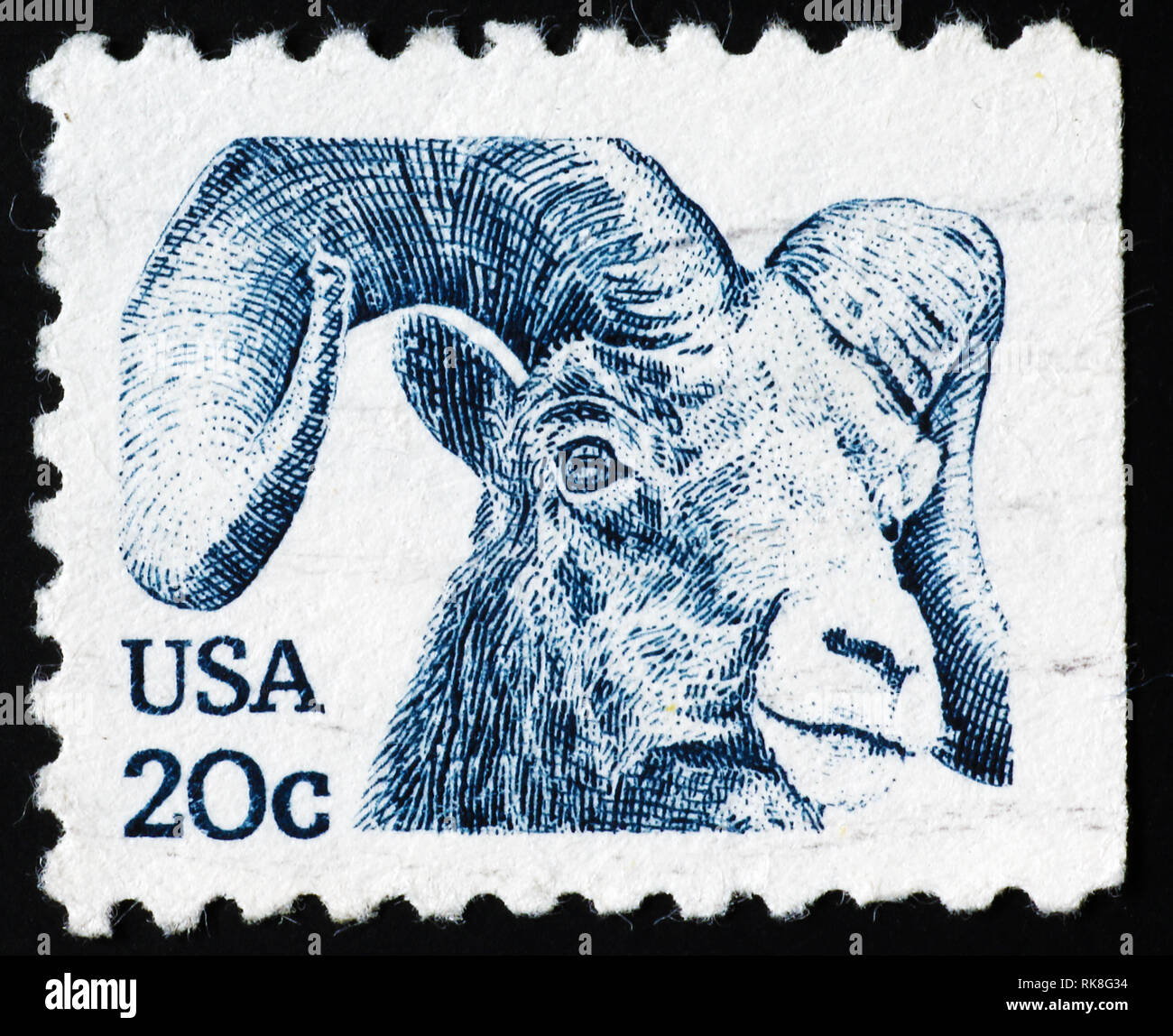 Sheep horns hi-res stock photography and images - Alamy