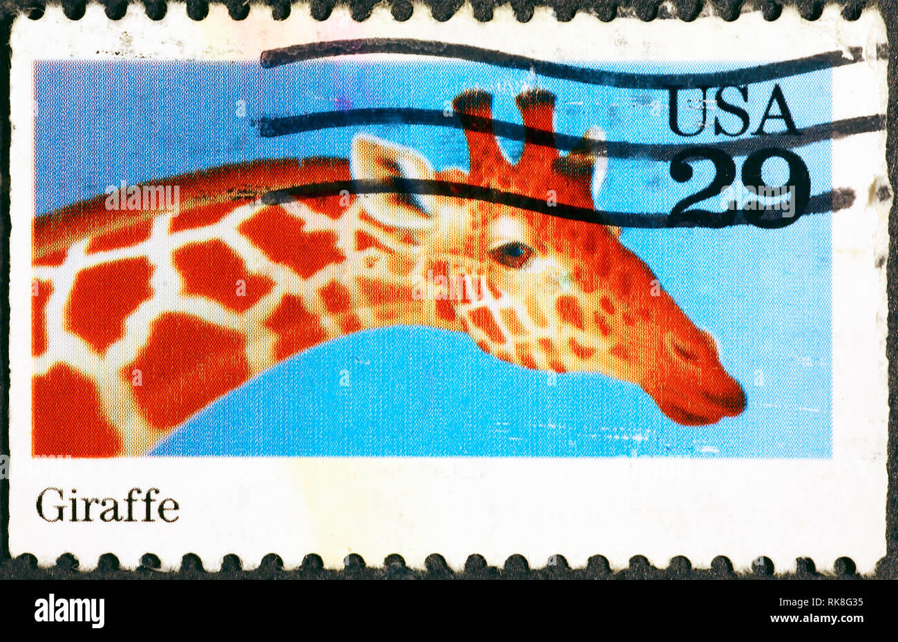 Head of giraffe on american postage stamp Stock Photo - Alamy