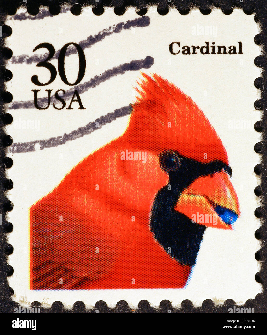 Head of Northern cardinal on american postage stamp Stock Photo - Alamy