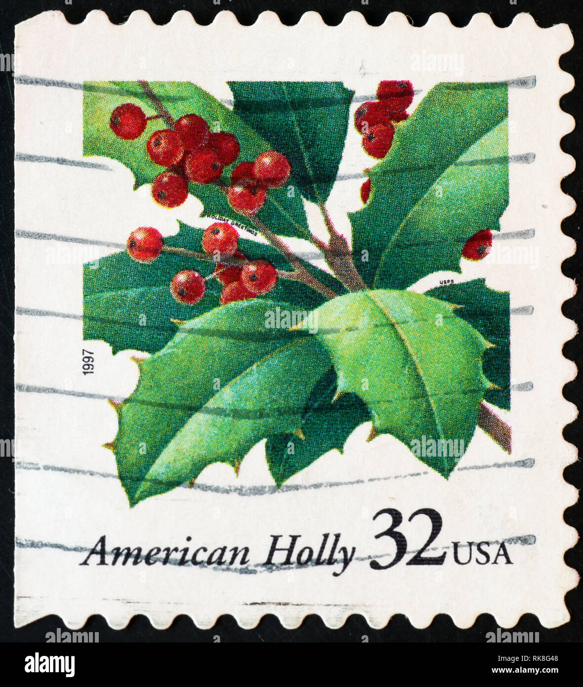American holly hi-res stock photography and images - Alamy