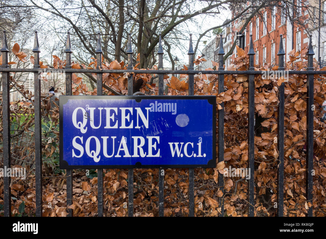 Square queen hi-res stock photography and images - Alamy