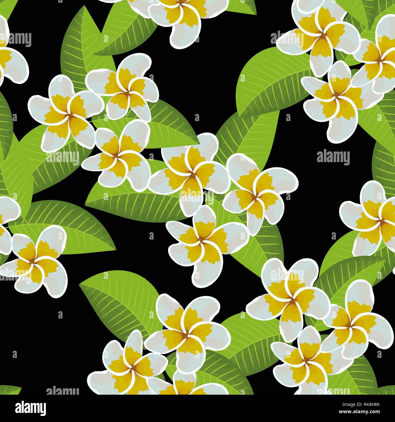Frangipani closeup Stock Vector Images - Alamy