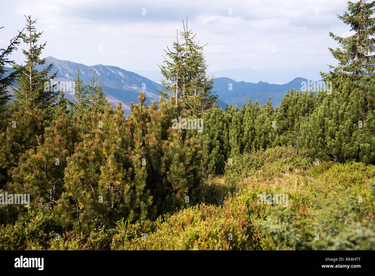 View from Mount Chopok on a Summer Day, ski and hiking resort Jasna ...