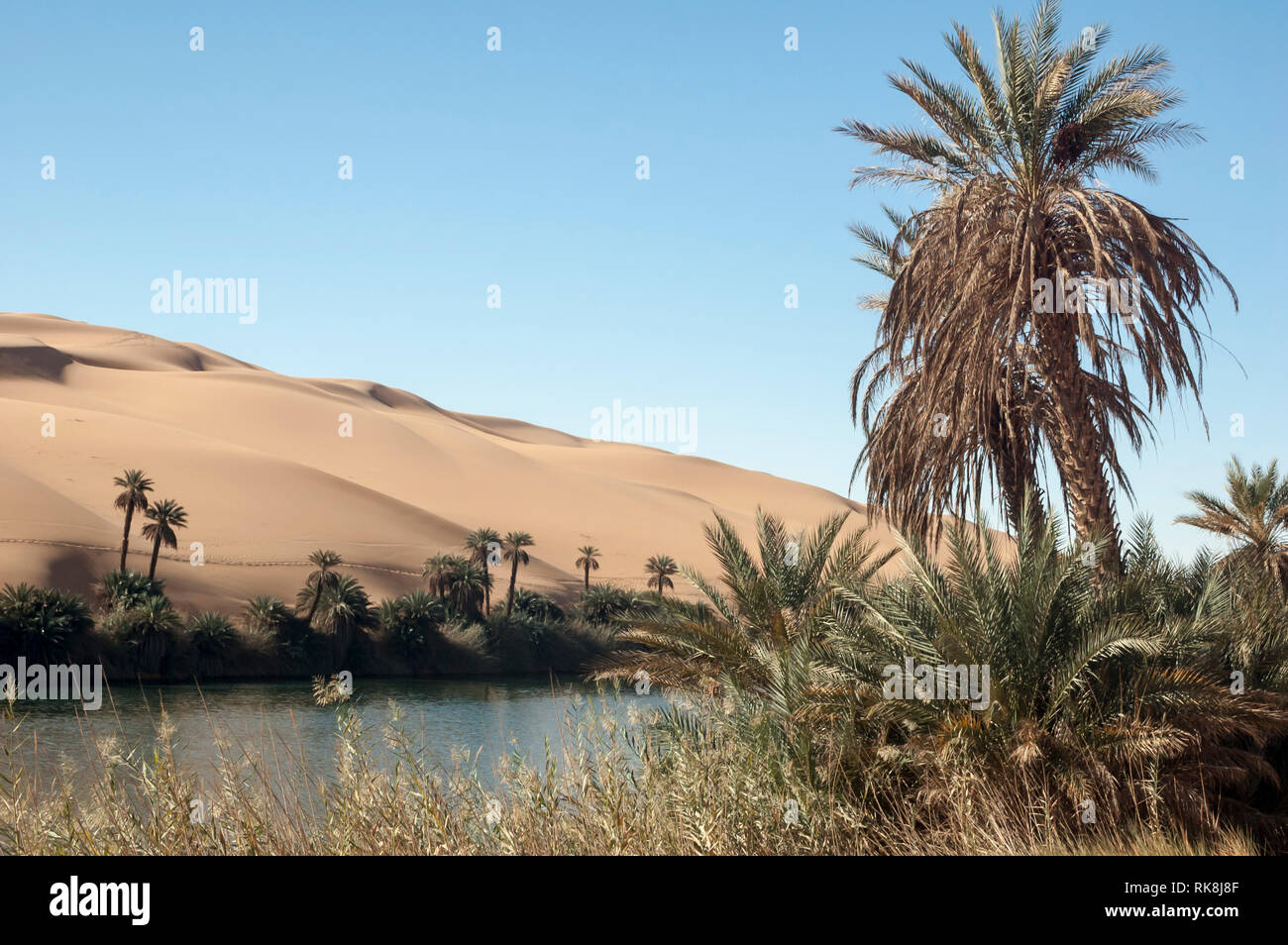 Ubari oasi in the Sahara desert, Fezzan, Libya, Africa Stock Photo - Alamy