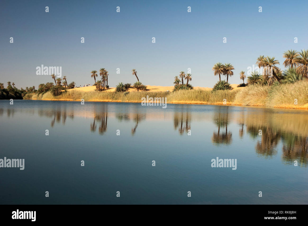 Ubari oasi in the Sahara desert, Fezzan, Libya, Africa Stock Photo - Alamy