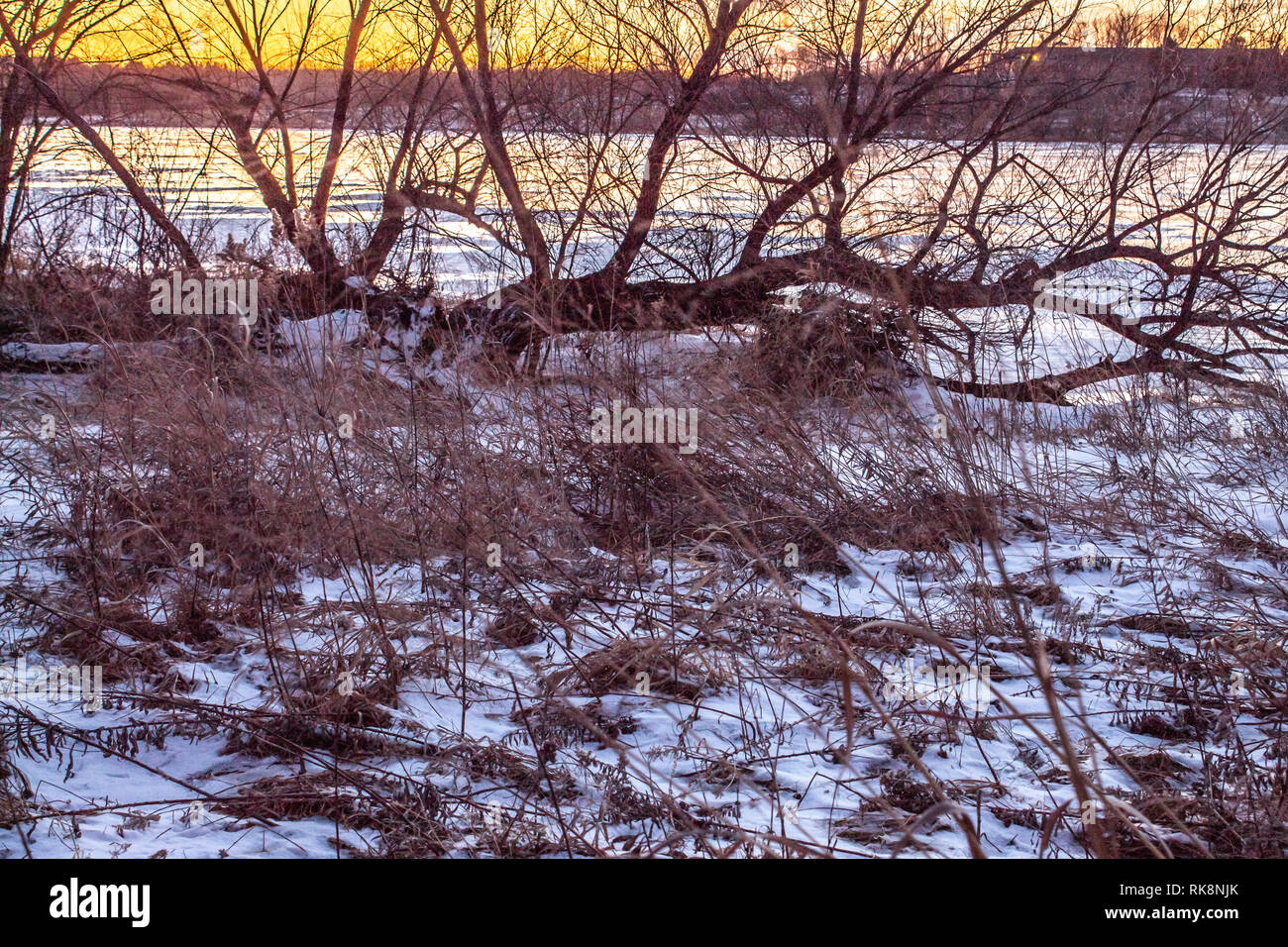 Sunset at a state park in Omaha Nebraska during winter with a lake and ...
