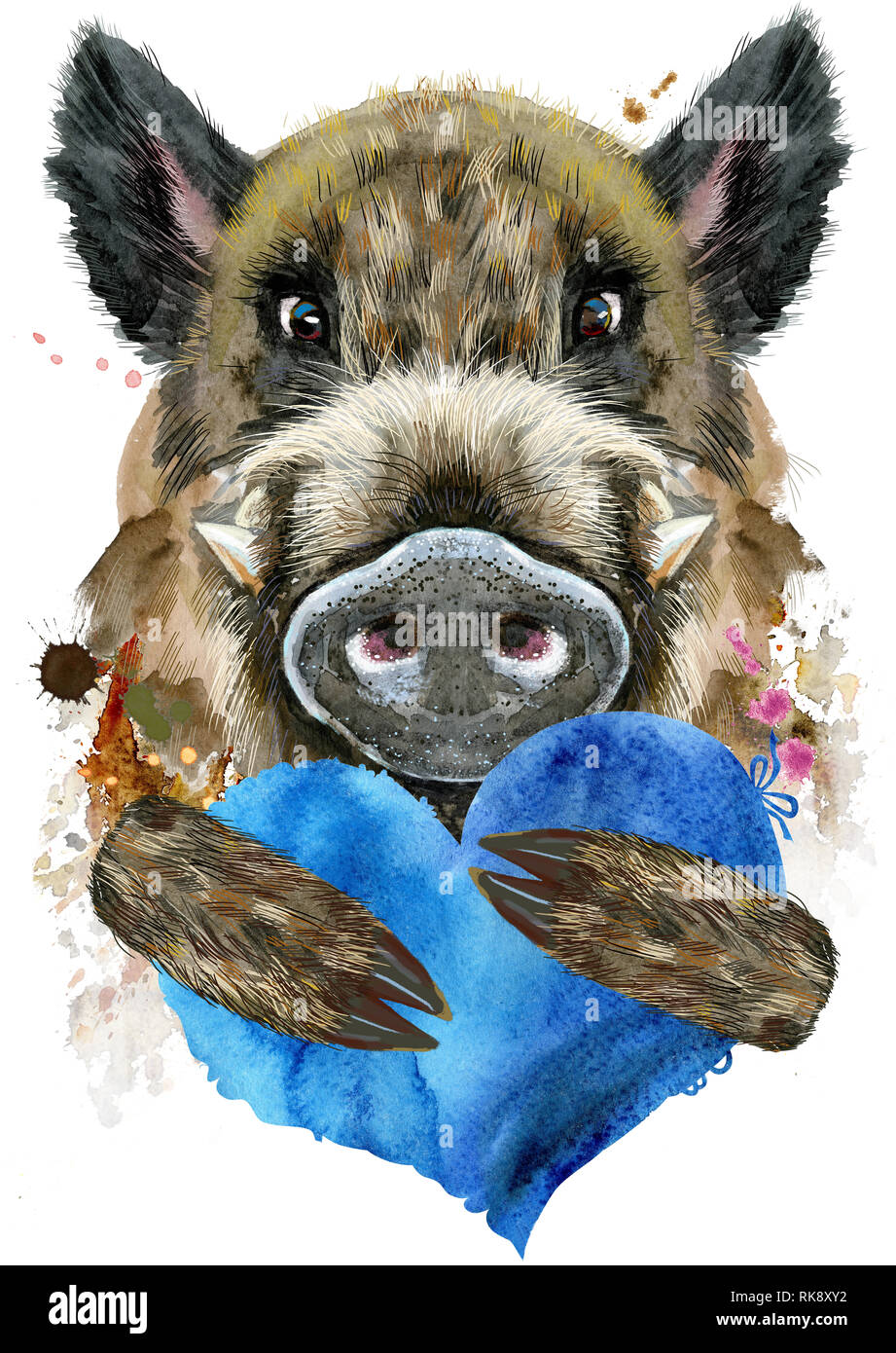 Watercolor portrait of wild boar with blue heart Stock Photo - Alamy