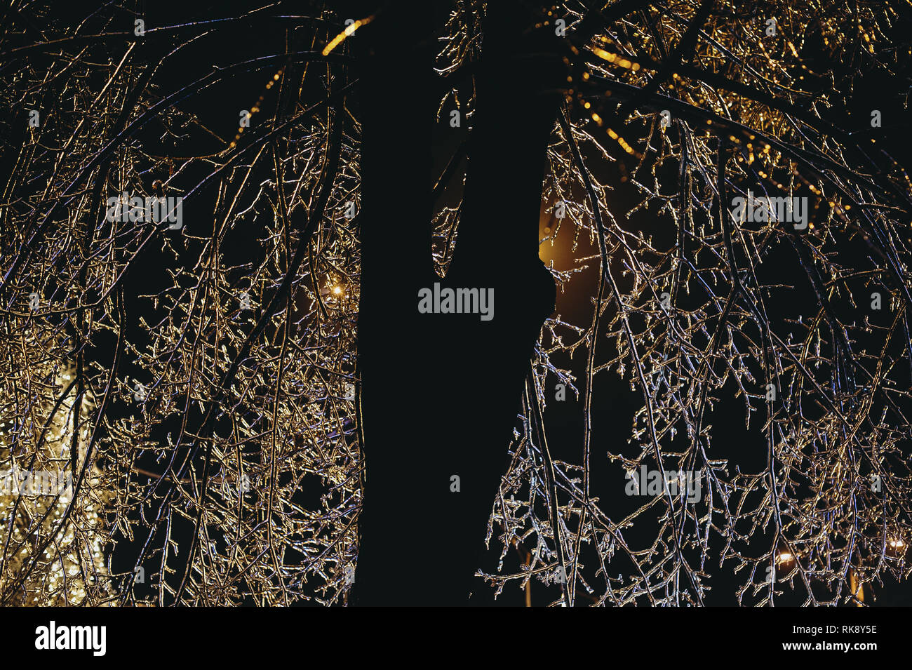 Ice coated wires hi-res stock photography and images - Alamy