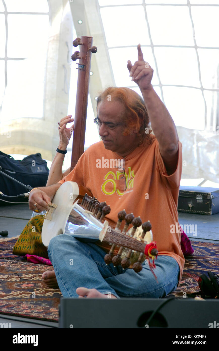 Electric Sarod
