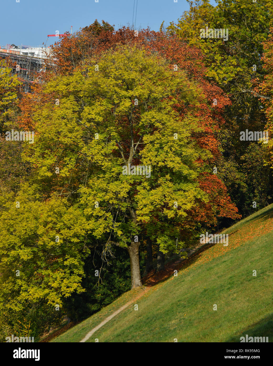 Autumn park with colorful trees in Bern, Switzerland Stock Photo - Alamy