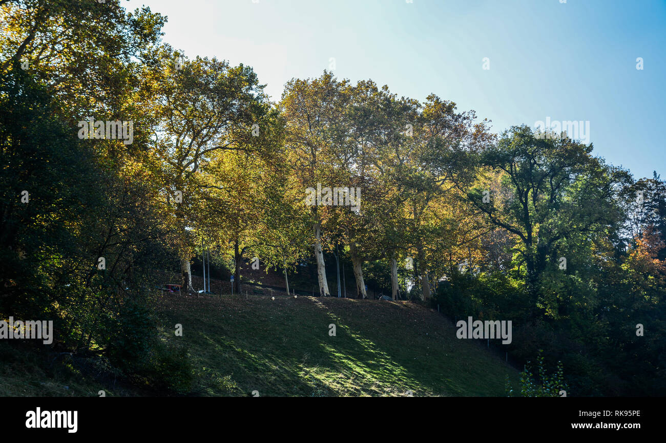 Autumn park with colorful trees in Bern, Switzerland Stock Photo - Alamy