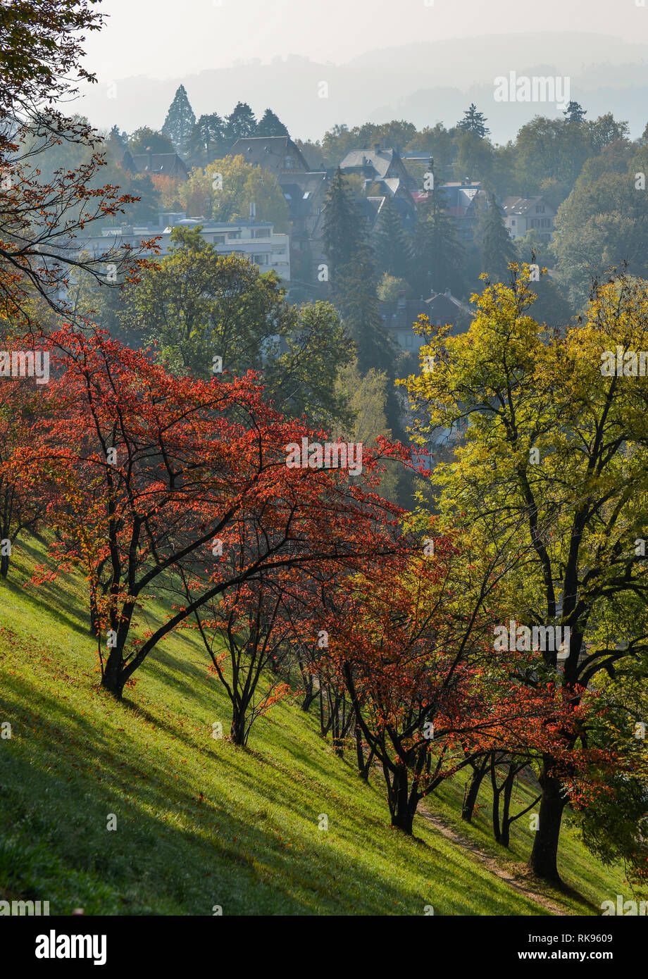 Autumn park with colorful trees in Bern, Switzerland Stock Photo - Alamy