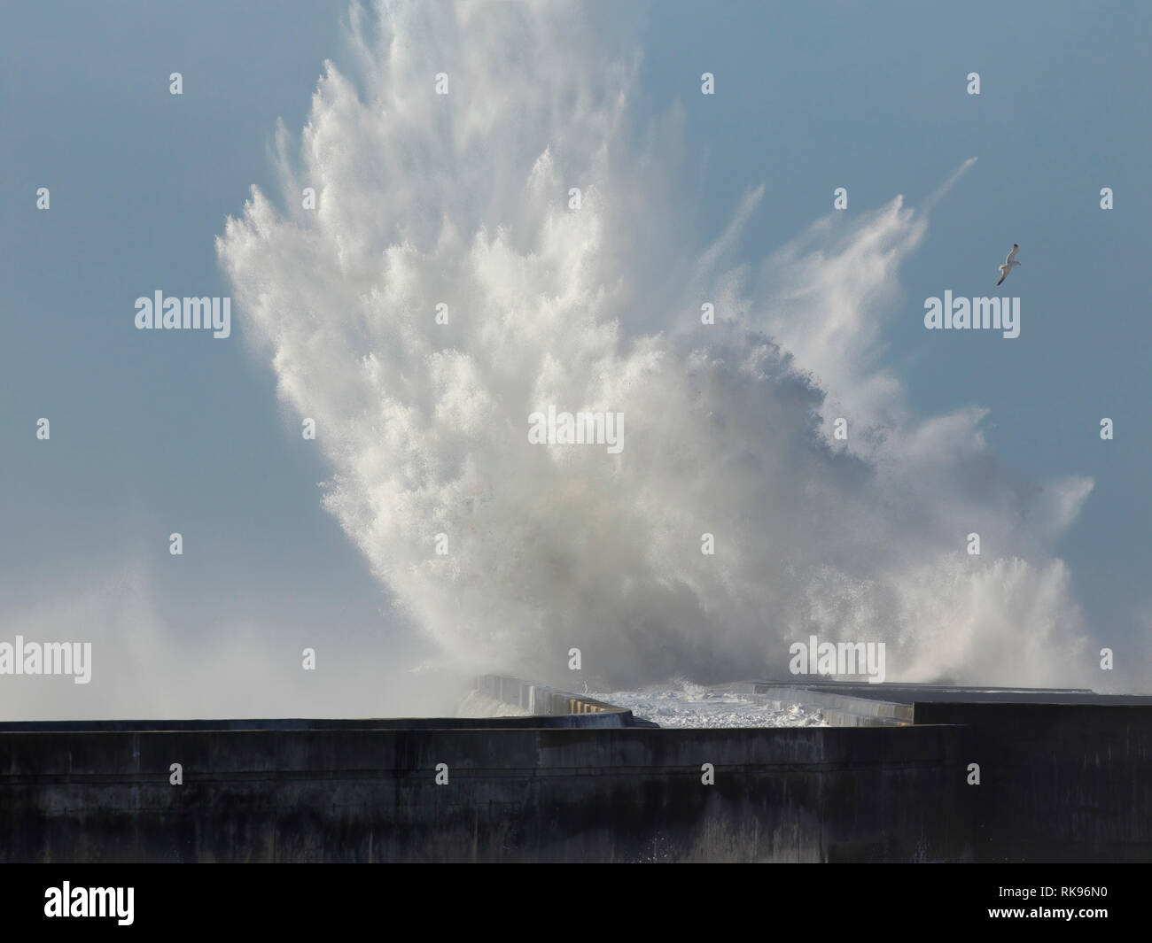 Huge sea wave splash in a stormy but clear day Stock Photo - Alamy