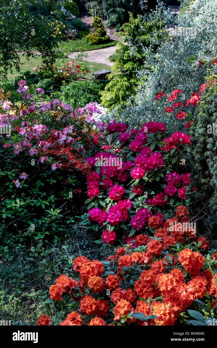The Secret Quarry Garden, Russells Garden Centre, near Coventry ...
