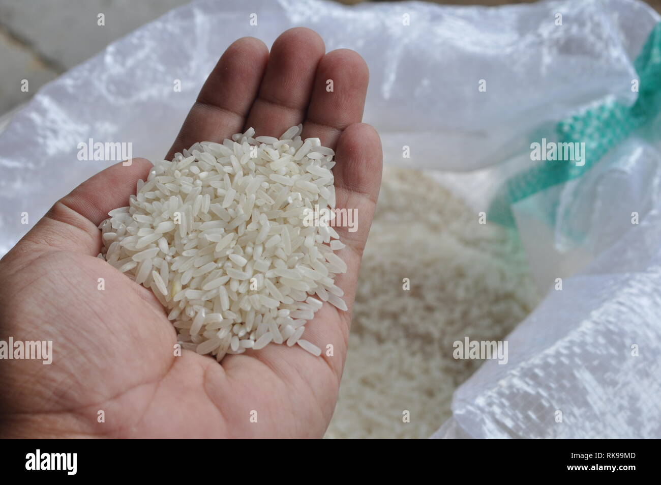 Rice on Hand Stock Photo - Alamy