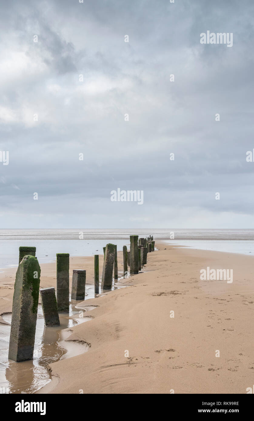 Groins on beach hi-res stock photography and images - Alamy