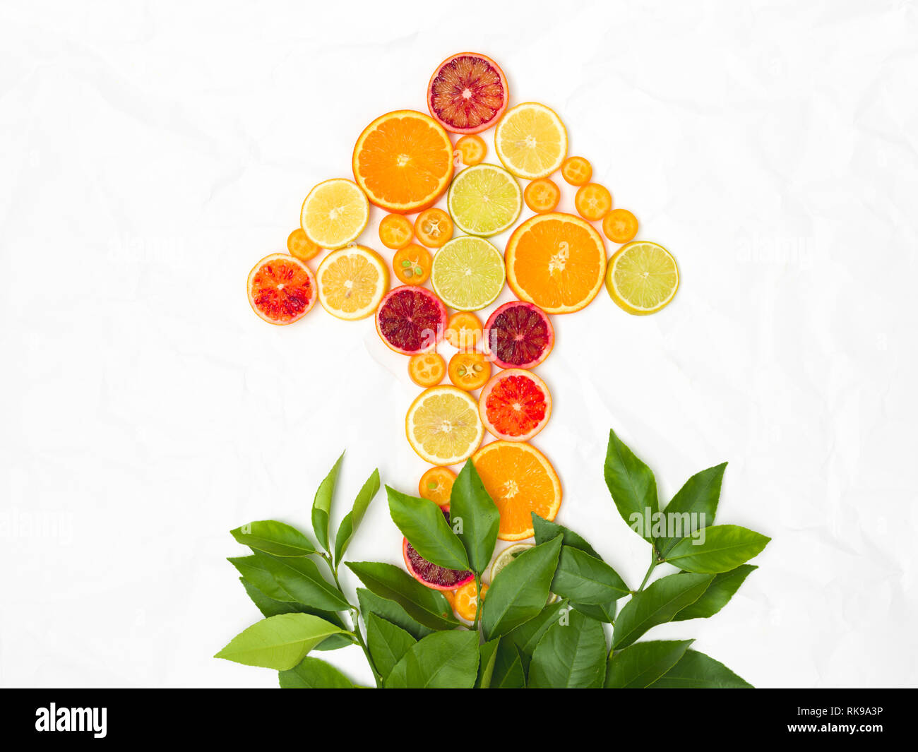 arrow shaped with different slices of healthy fruits Stock Photo - Alamy