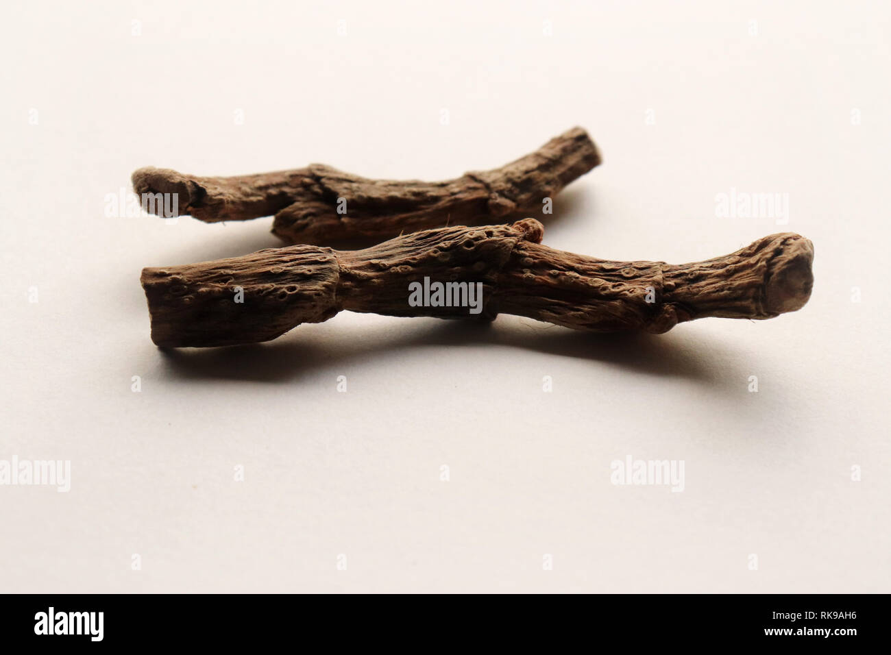 Sweet flag stem (acorus calamus) hi-res stock photography and images ...