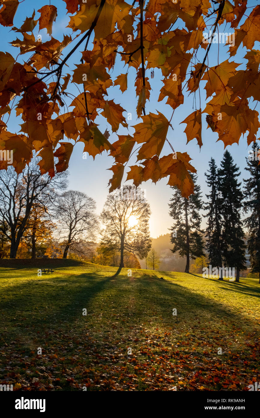 Stunning nature view during autumn hi-res stock photography and images ...