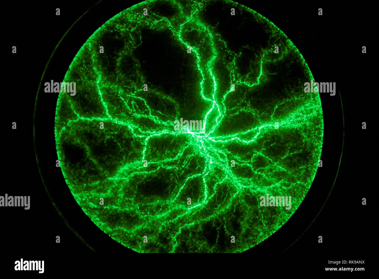 Electric plasma ball on dark background. Static electricity model Stock ...