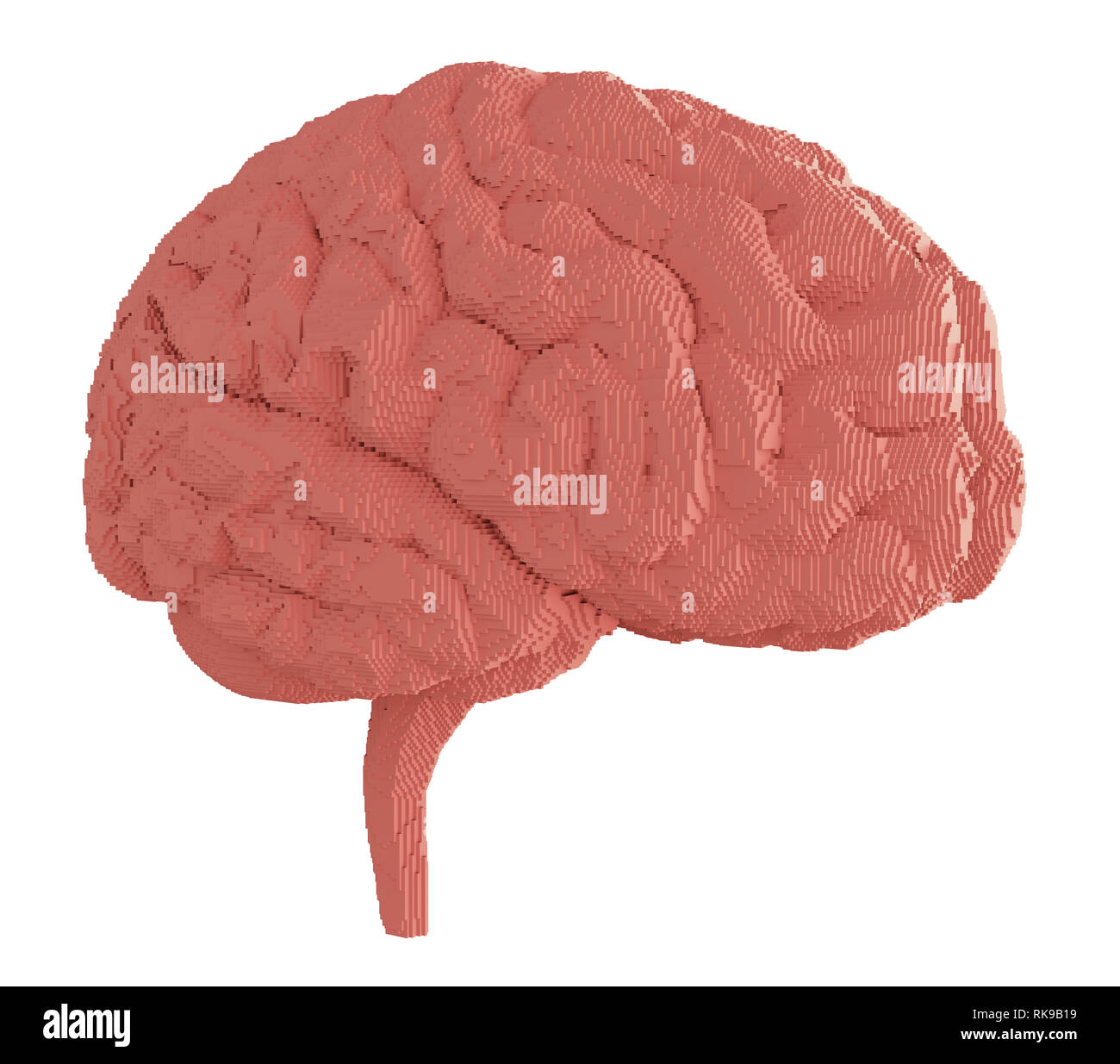 Lab science brain Cut Out Stock Images & Pictures - Alamy