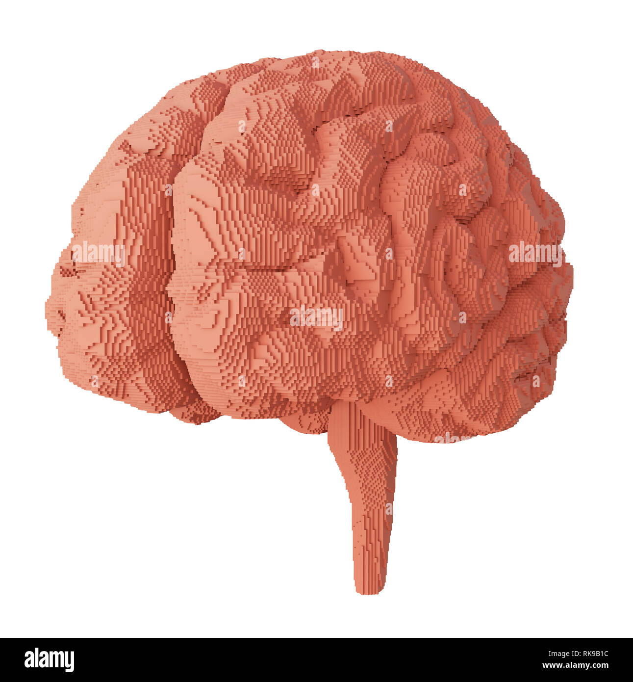 3d rendered brain isolated Stock Photo - Alamy