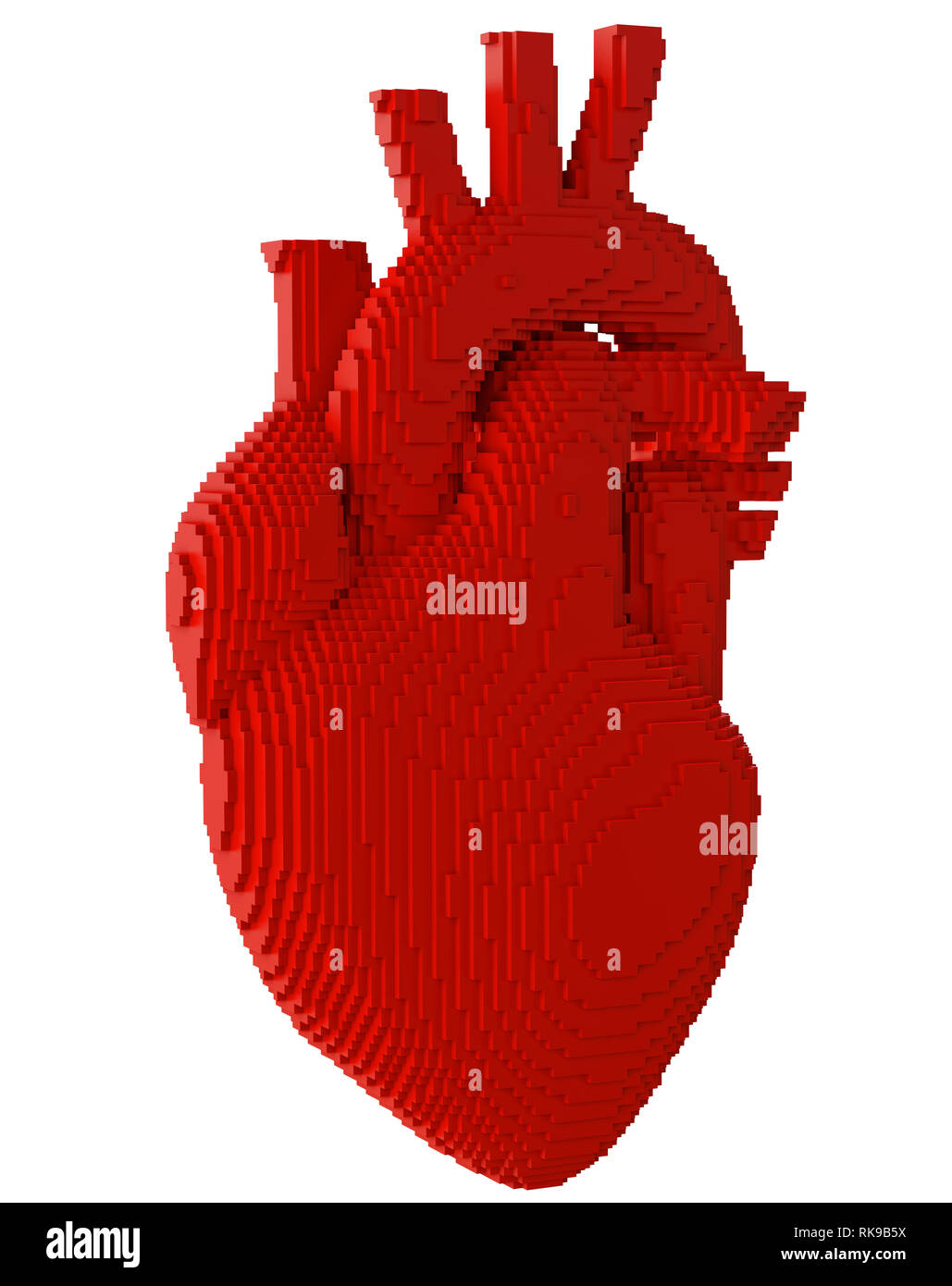 3d printed human tissue hi-res stock photography and images - Alamy