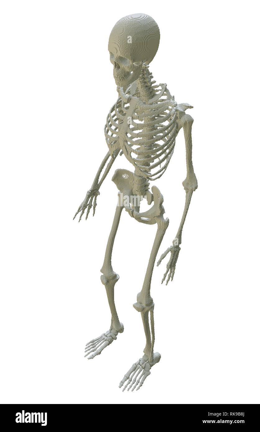 3d printed skeleton isolated Stock Photo - Alamy