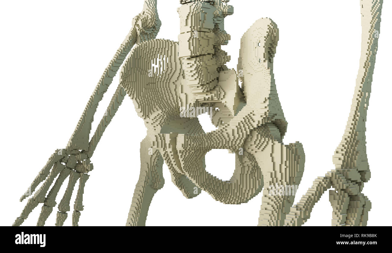 3d printed skeleton isolated Stock Photo - Alamy
