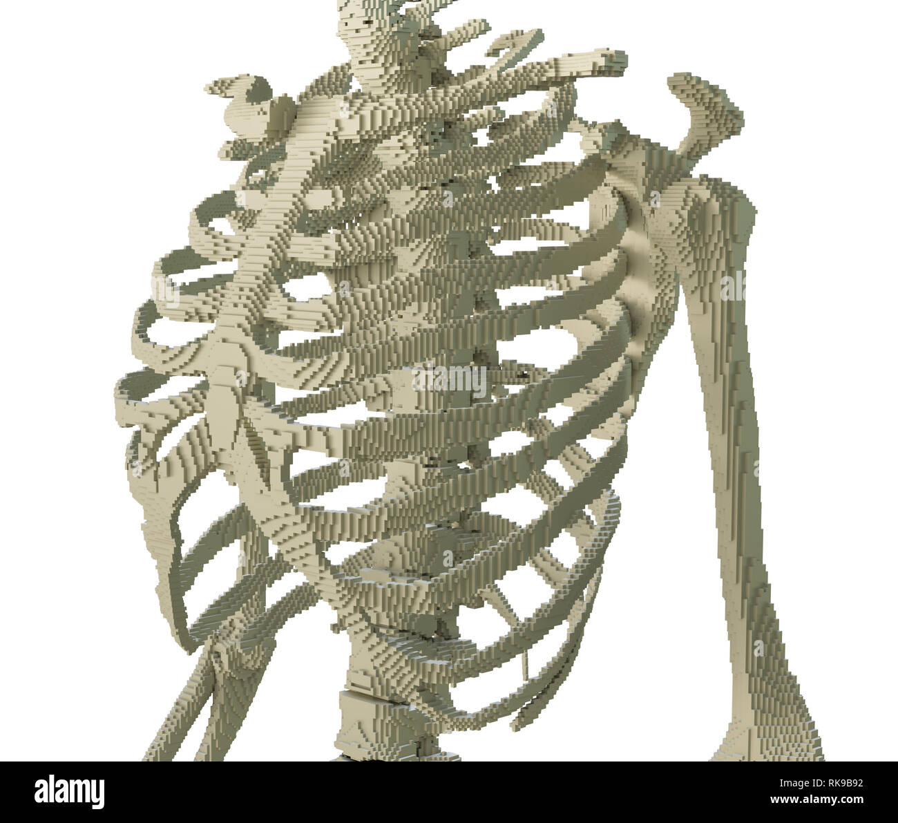3d printed skeleton isolated Stock Photo - Alamy