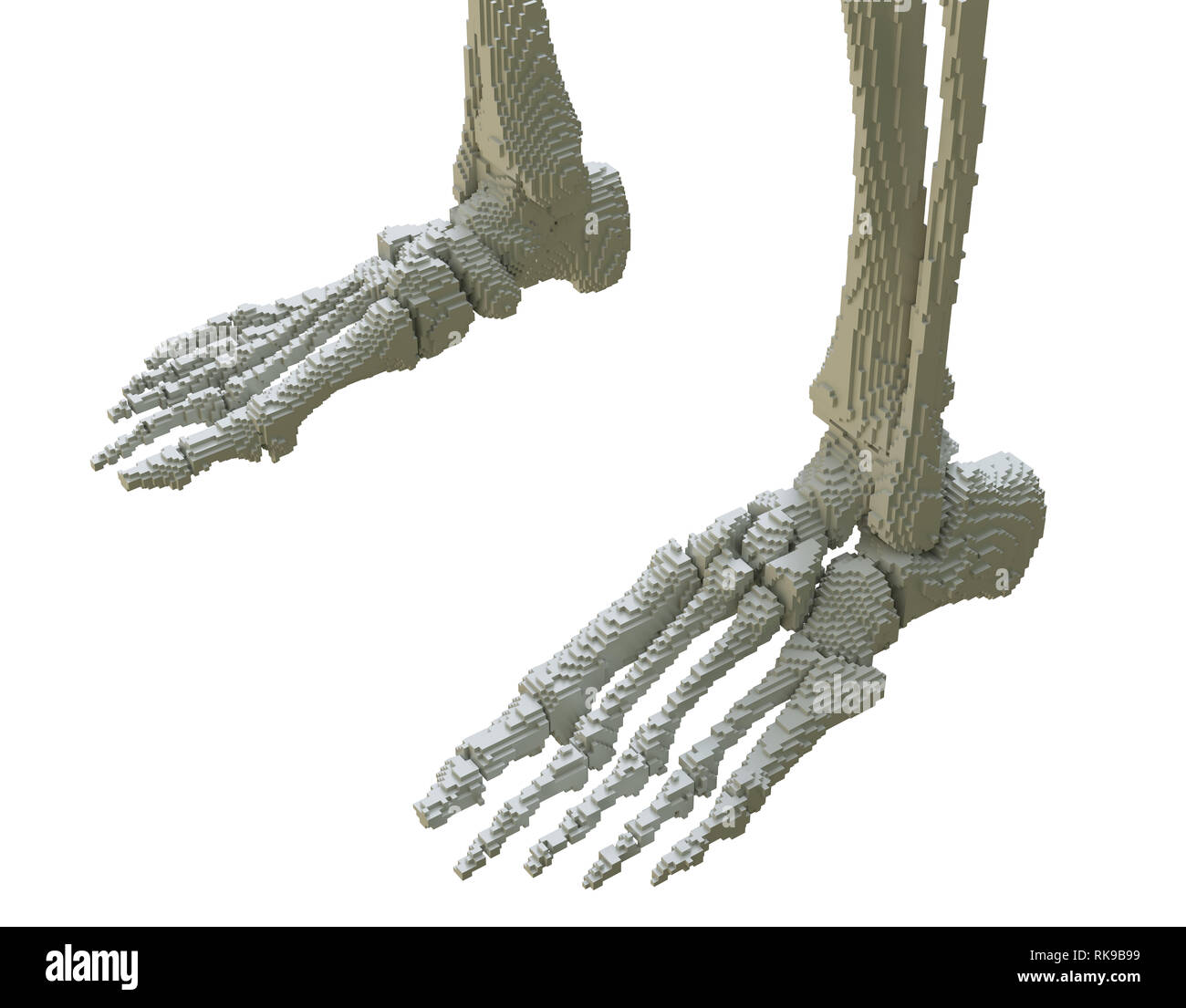 3d printed skeleton isolated Stock Photo - Alamy