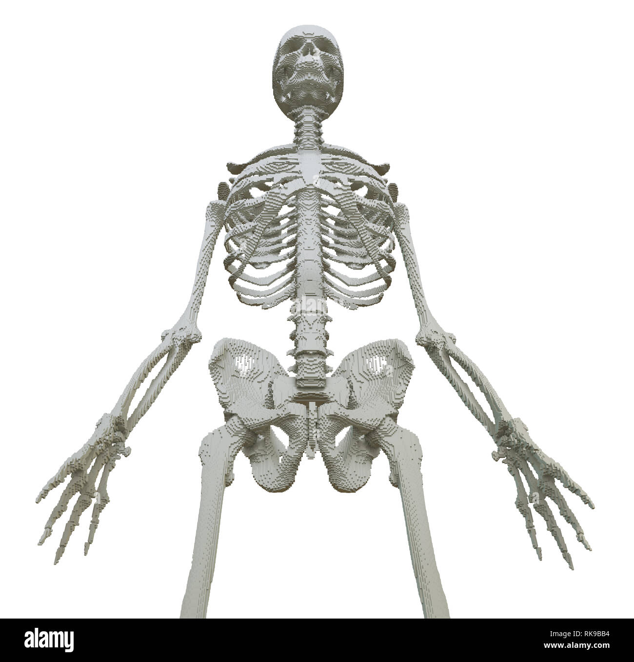 3d printed skeleton isolated Stock Photo - Alamy