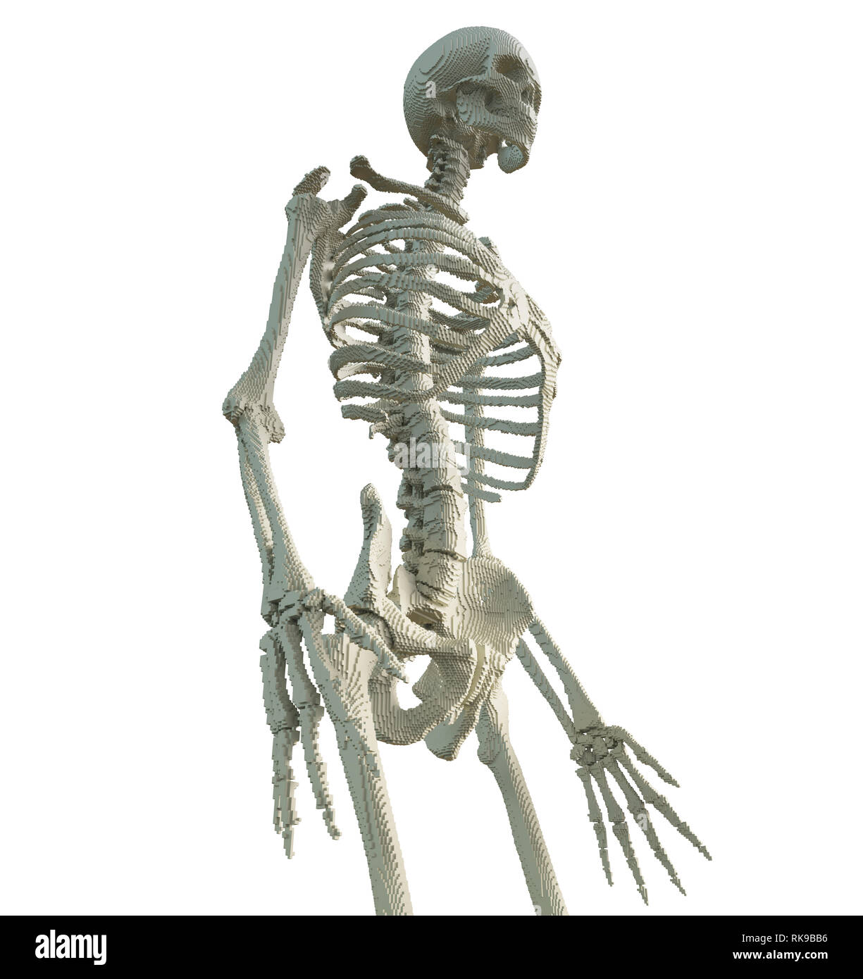 3d printed skeleton isolated Stock Photo - Alamy