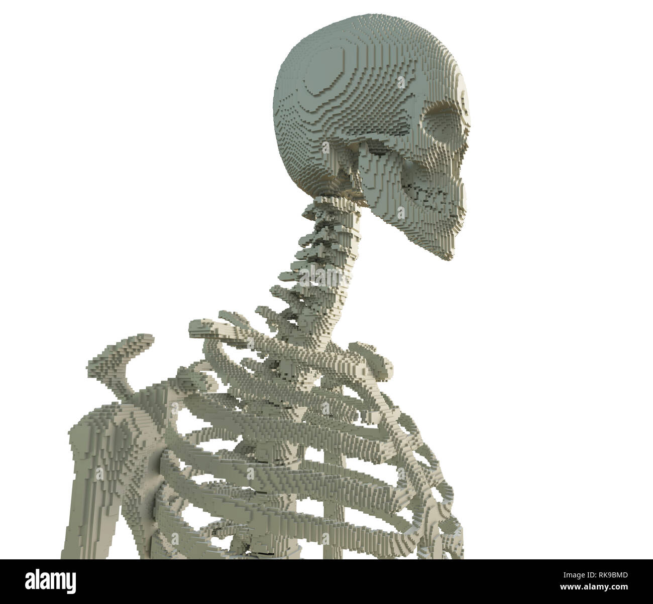 3d printed skeleton isolated Stock Photo - Alamy